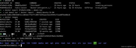 docker 基本命令详解（测开必备） docker使用命令详解 csdn博客