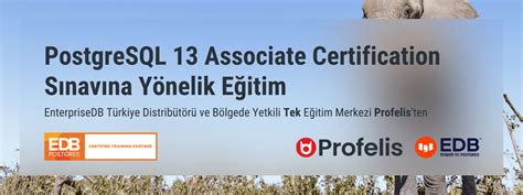 Postgresql 13 Associate Certification Sınavına Yönelik Eğitim İçin Ön Kayıtlar Başladı Profelis