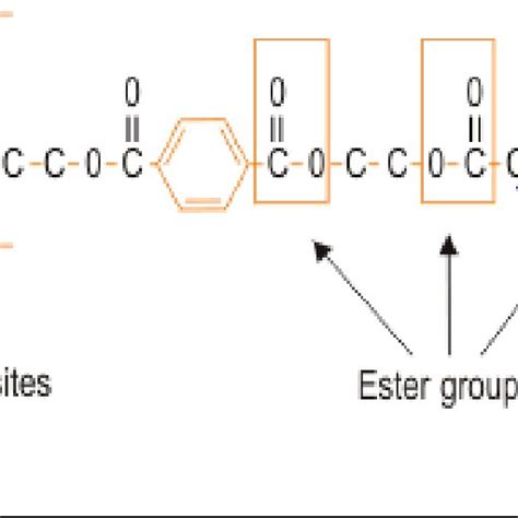 Diagram Of Chemical Structure For Unsaturated Polyester 9 Download