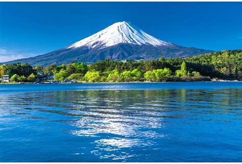 도쿄 출발 후지산 자유여행 프라이빗 일일 차량투어 맞춤투어