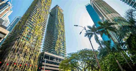 Biomimetic Architecture Energy Efficiency Inspired By Nature