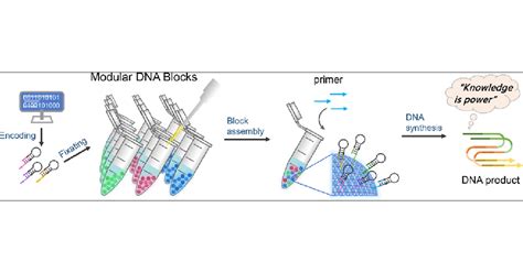 Assembly Of Reusable Dna Blocks For Data Storage Using The Principle Of Movable Type Printing