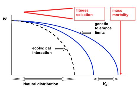 Ecological Genetic Model Of Fitness Decline And Mortality Triggered By Download Scientific