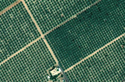 Utilizing Geoai And Remote Sensing For Precise Forest And Tree Counting