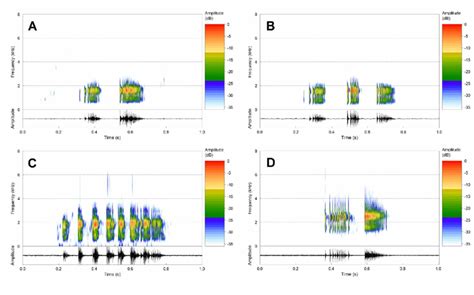 Audiospectrogram Above And Corresponding Oscillograms Below Of The