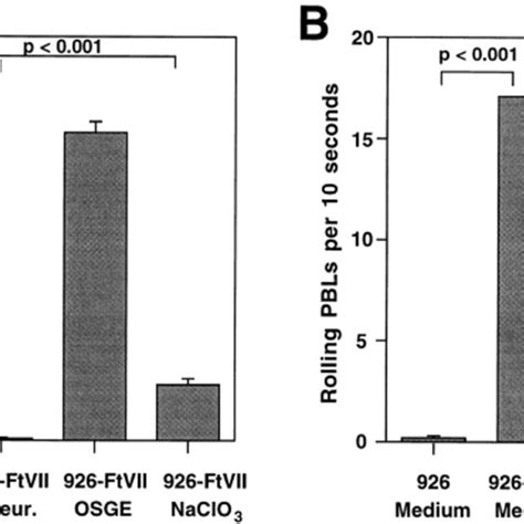 L Selectin Ligands On Vascular Endothelium Require Sialylation And