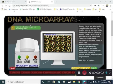 Demonstration Of Dna Microarray Lab Part 2 Of 2