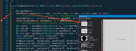 关于vs imagewatch在线调试问题 csdn博客