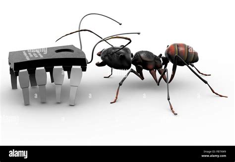 Computer Chip Bug