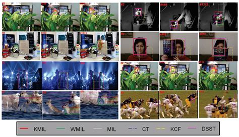 the kernel based multiple instances learning algorithm for object tracking