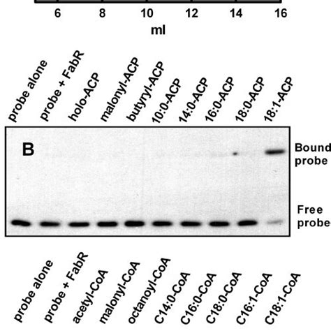 Ligand Screen For Fabr Binding To Its Dna Palindrome A Fabr Was