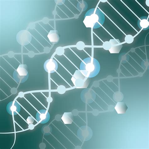 Purification Of Transfection Grade Sequencing Ready Plasmid Dna