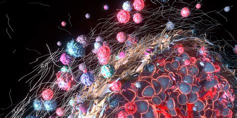 Exploring The Tumor Microenvironment Nanocellect