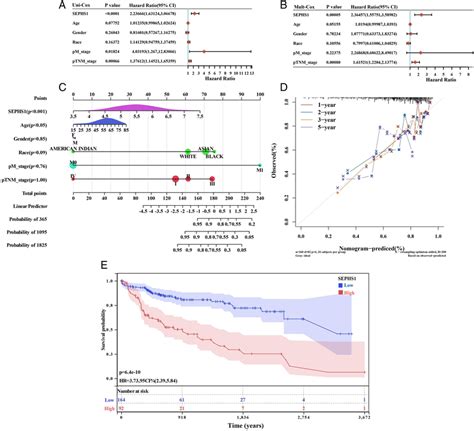 A Univariate Cox Regression Analysis B Multivariate Cox Regression Download Scientific
