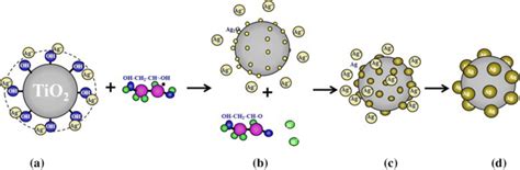 The Schematic Representation Of Synthesized Ag Tio2 Nps A Ag⁺ Ions
