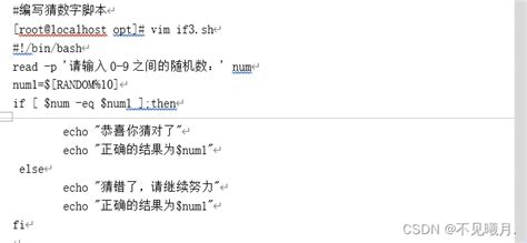 Shell基础 Csdn博客
