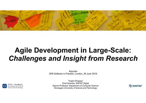 Agile Development In Large Scale Challenges And Insight From Research
