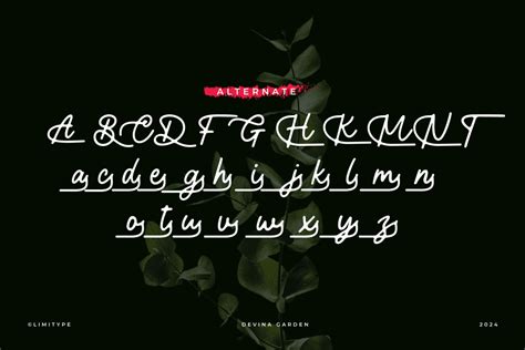 Devina Garden Font · 1001 Fonts