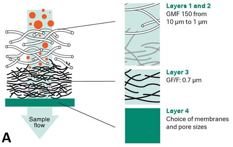 Hplc Prep—which Filter Fits Your Chromatography Sample Best Cytiva