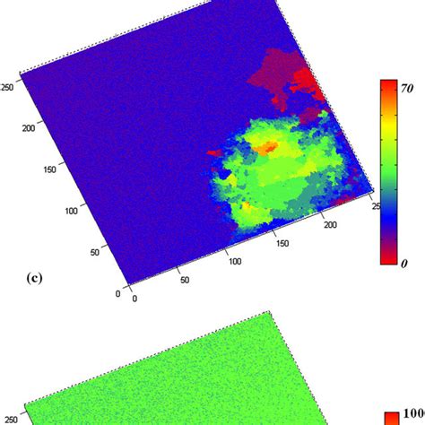 Simulated Imaging And Unwrapping Of A Slanted Surface A Phase Image