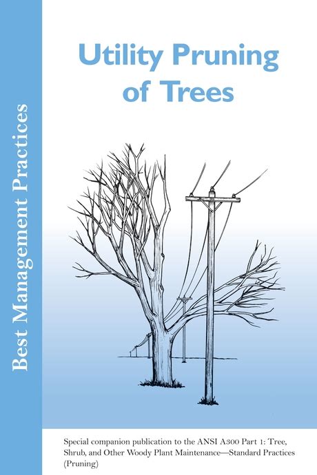 Bmp Utility Pruning