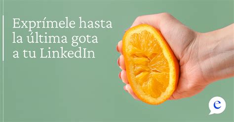 Linkedin Optimization Eloquent