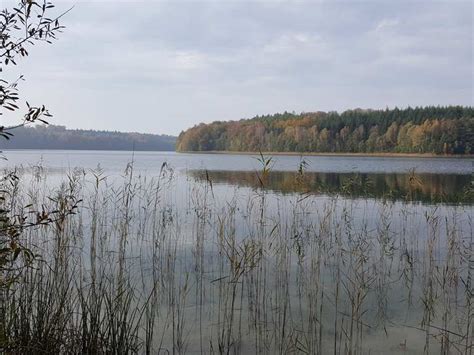 Peetschsee Routes for Walking and Hiking | Komoot