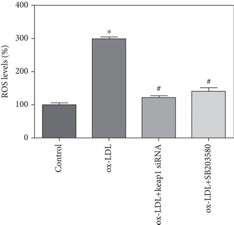 Nrf2 Mediated Ox Ldl Induced Epc Oxidative Stress And Mitochondrial Download Scientific Diagram