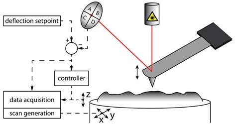 Schematic Of An Atomic Force Microscope Download Scientific Diagram