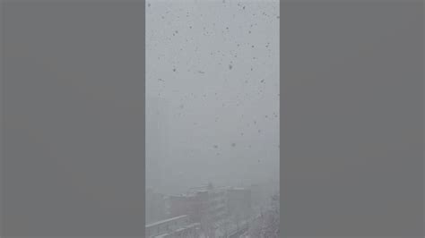 🪴사람에게친절하라이미 그만의무수한전쟁을 치루고 여기에와있을터이니 Youtube