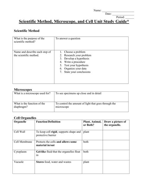 Microscope Mania Worksheet At Jack Black Blog