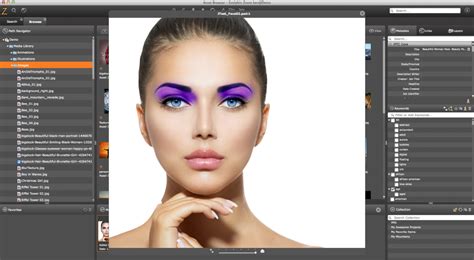 Preview Assets Evolphin Documentation