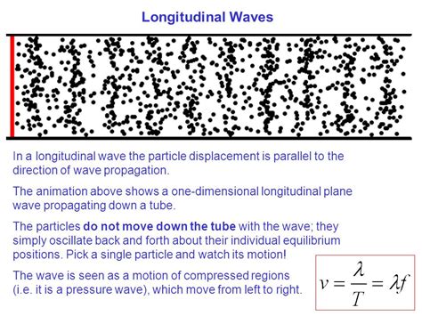 Longitudinal Waves Animation