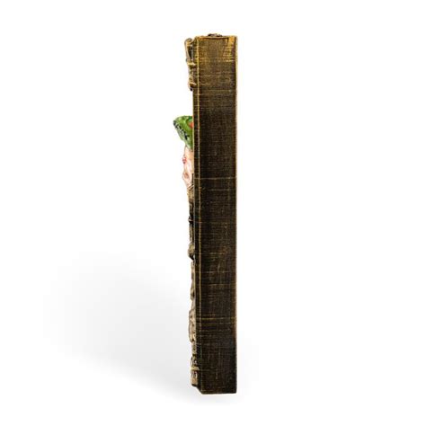 3d Printable Dissected Frog By Stlflix