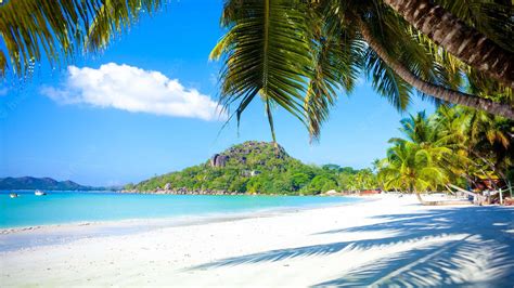 [1500 ] Caribbean Beach Wallpapers