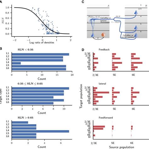 layer and population specific cortico cortical connection patterns a