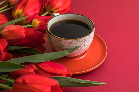 텍스트에 대한 복사 공간을 많이 붉은 튤립과 커피 컵 배열의 꽃다발 봄 기분 컨셉 생일 여자 어머니의 날 결혼식 발렌타인 데이를위한 인사말 카드 2월에 대한 스톡 사진 및