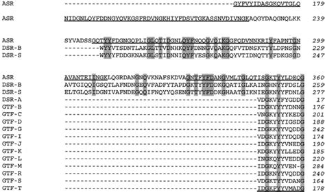 multiple alignment of the start of the highly conserved catalytic core