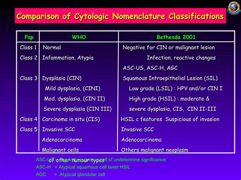 Abnormal Pap Smear ศิริราช Ppt Ppt