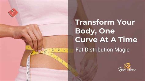 Fat Distribution 101 Your Roadmap To A Healthier Happier You Spavelous