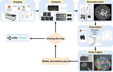 Biolumin An Immersive Mixed Reality Experience For Interactive Microscopic Visualization And