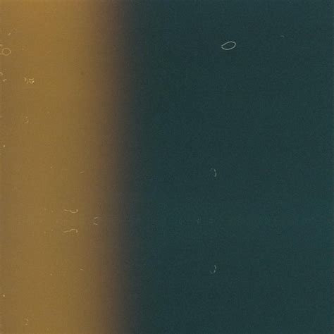 Flutter Single De Papaya Noon En Apple Music