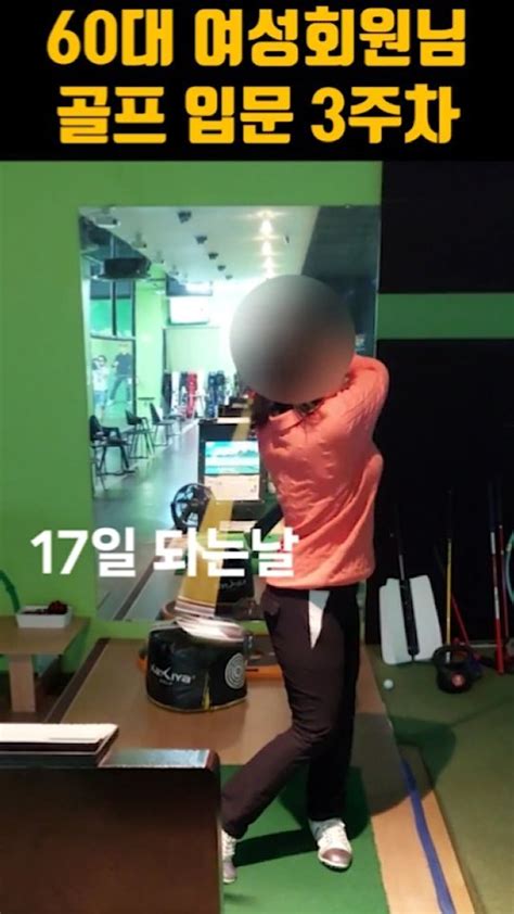 버디스윙골프레슨 제주 노형 초보자 골프레슨 iam jejugolf instagram photos and videos