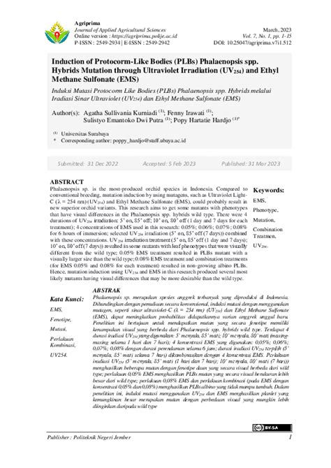 Pdf Induction Of Protocorm Like Bodies Plbs Phalaenopsis Spp Hybrids Mutation Through