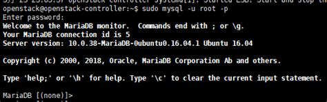Mariadb Mysql U Root P 显示access Denied解决办法 Icarusyu 博客园