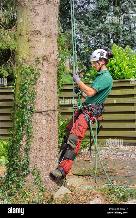 Tree Surgeon Rope Hi Res Stock Photography And Images Alamy