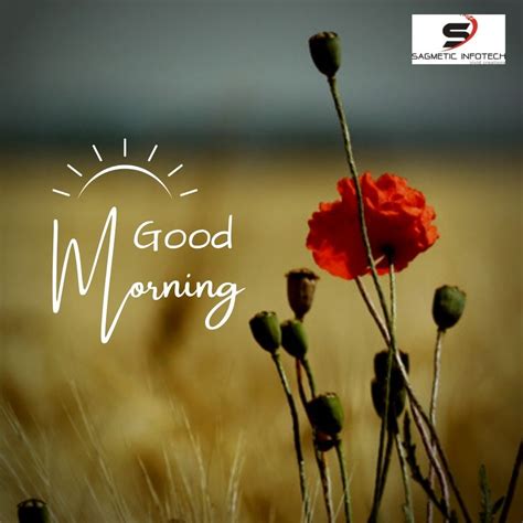 Harneet Kaur Posted On Linkedin