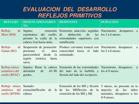 Desarrollo Psicomotor Yudocorg Udocz