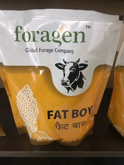 Foragen Natural Sorghum Fodder Grass Seeds Packaging Type Packet At