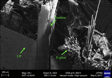 Sem Image From Front View Of Initial Crack Propagation Of 6bw 18eg Download Scientific Diagram